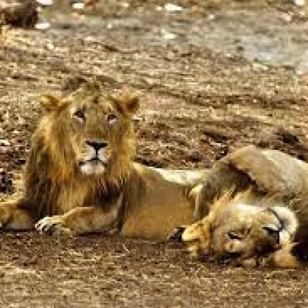 TOP SIX DESTINATIONS TO EXPLORE IN GUJARAT – XA Sports